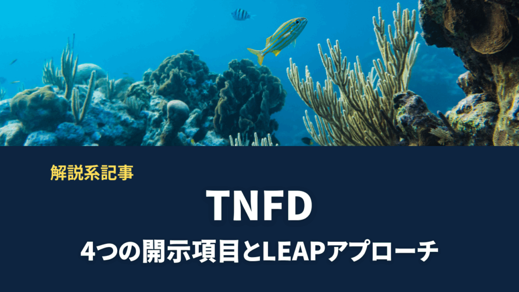 TNFDとは？4つの開示項目とLEAPアプローチ | ブライトイノベーション